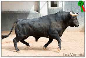 Seis de Fermín Bohorquez abre la feria de Jerez